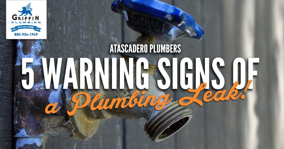 5 Warning Signs of a Plumbing Leak - Griffin Plumbing, Inc.
